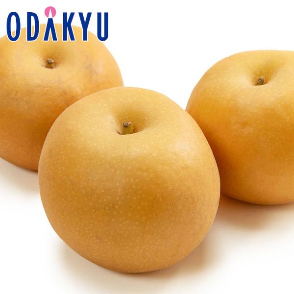 産地：長野県　他重さ：約2kg内容：長野県産他 南水梨×6玉（約2kg）