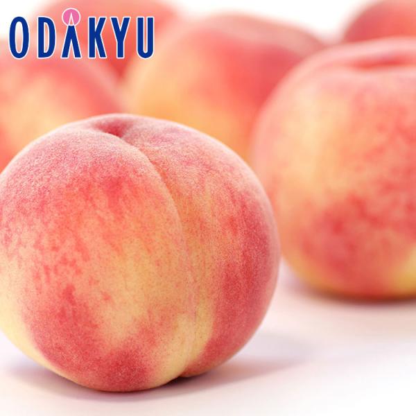 産地：福島県・秋田県産他重さ：約1.6kg等級：秀品以上 300g以上内容：旬の桃×6玉