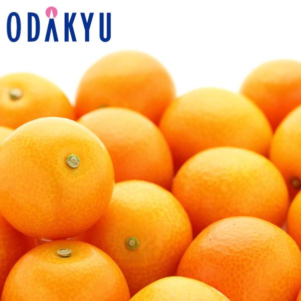 重さ：約2.0kg内容：宮崎県産他 完熟金柑×2kg