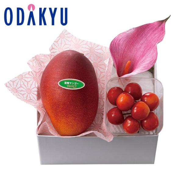 消費期限：出荷日より3日間内容：宮崎ミニマンゴー（宮崎県産）×1、さくらんぼ（長野県、山形県または山梨県産）×約50g、カラーオーナメント付
