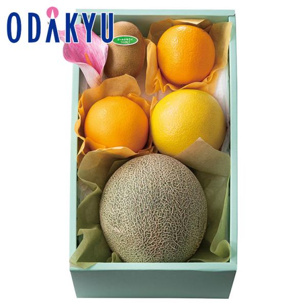 消費期限：出荷日より3日間内容：メロン（熊本県、茨城県または千葉県産）、河内晩柑（愛媛県または熊本県産）、サンゴールドキウイ（ニュージーランド産）×各1、オレンジ(アメリカまたはエジプト産）×2、カラーオーナメント付