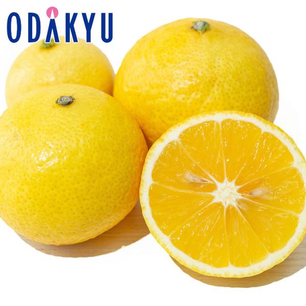 内容：神奈川県産「湘南ゴールド」1kg（１０〜15玉）×1箱