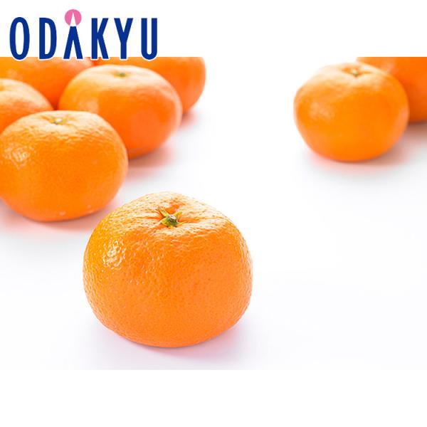 重さ：約2kg内容：長崎県産越冬味っ子みかん（S〜Lサイズ）× 2kg