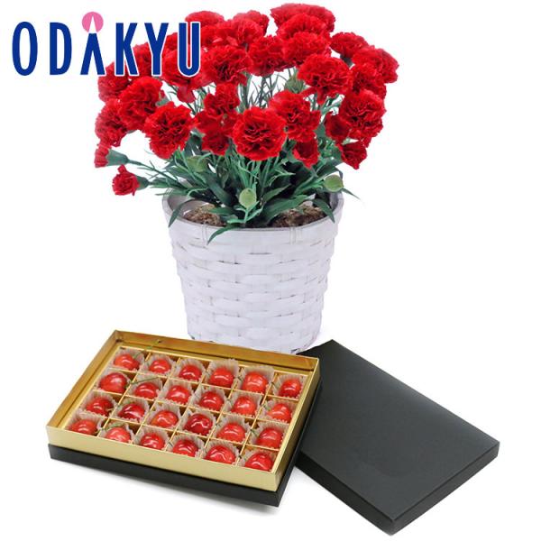 産地：山形県重さ：約1.2kg箱サイズ：26×26×59(cm)内容：山形県産さくらんぼ(佐藤錦）24粒、カーネーション（鉢植）