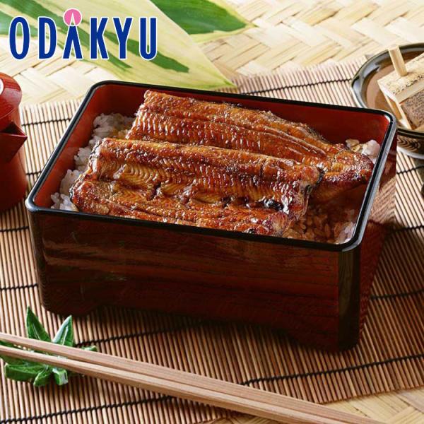 加工地：静岡産地：静岡重さ：約0.9kg箱サイズ：16×32×4(cm)賞味期間：出荷日より30日間内容：浜名湖うなぎ蒲焼110g、たれ＆山椒、粉末吸物×各4