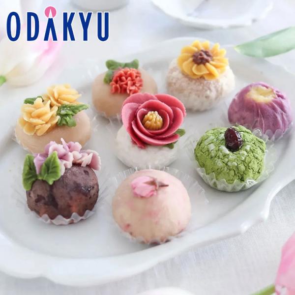 加工地：奈良県産地：米（国産）重さ：約0.5kg箱サイズ：14×32×7.5(cm)賞味期間：製造日より30日間内容：紅つばき・向日葵とアーモンド・吉野の山桜・木香薔薇とマンゴー・奈良のお煎茶黒豆・金木犀といちじく・春日の藤・お芋の巾着絞り...