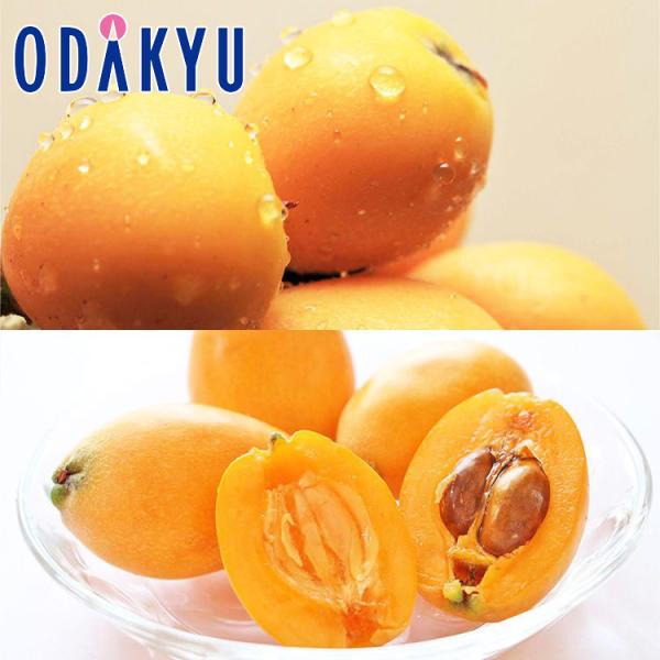 重さ：約0.4kg等級：びわ：秀内容：房州びわ × 1パック長崎甘香びわ × 1パック