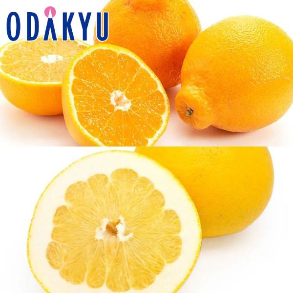 重さ：約2kg等級：デコポン：優河内晩柑：秀内容：熊本県産デコポン(18) × 4玉熊本県産河内晩柑(2L) × 4玉