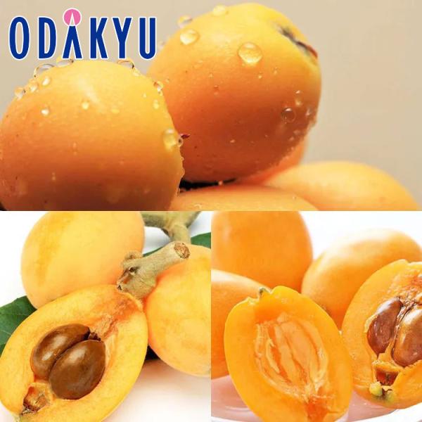 重さ：約0.7kg等級：びわ：秀内容：千葉県産房州びわ × 1パック長崎県産長崎びわ × 1パック長崎甘香びわ × 1パック