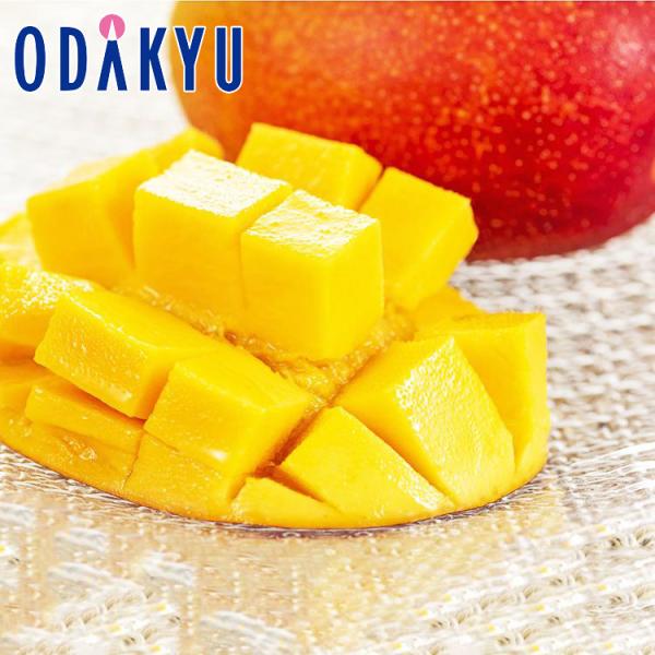 重さ：約0.7kg等級：マンゴー：青秀以上内容：宮崎県産完熟マンゴー（２Lサイズ） × ２玉詰め