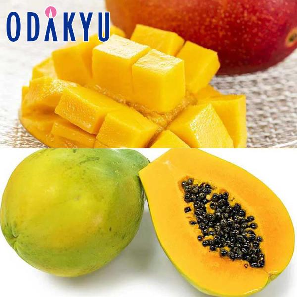 重さ：約0.6kg等級：マンゴー：青秀以上パパイヤ：青秀内容：宮崎県産完熟マンゴー（２L） × 1玉宮崎県産サンライズパパイヤ（２L） × 1玉