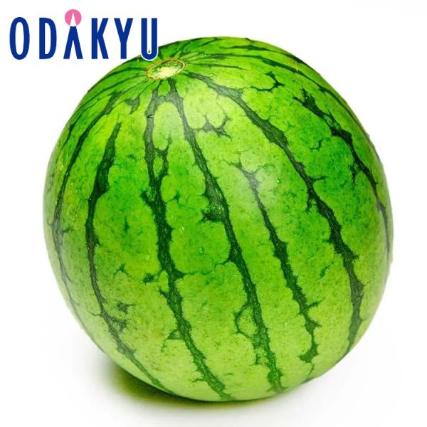 重さ：約8kg等級：秀内容：熊本県産春スイカ（４Lサイズ） × 1玉