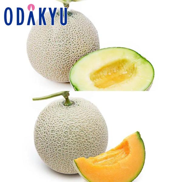 重さ：約2kg等級：メロン：秀内容：熊本県産他青肉メロン × 1玉宮崎県産他赤肉メロン × 1玉