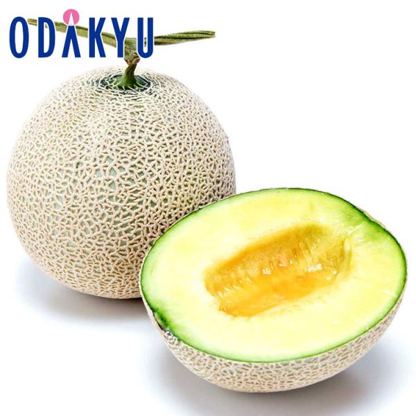 重さ：約1.2kg内容：熊本県産アールスメロン（1.2kg） × 1玉