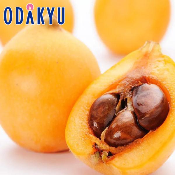 重さ：約1kg内容：長崎県産びわ（９〜12粒入り） × 2箱