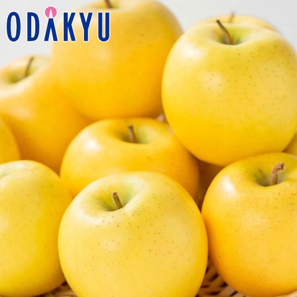 賞味期限：冷蔵庫で保存しできるだけお早めにお召し上がりください産地：青森県重さ：約5kg等級：秀・２７０g以上内容：青森県産「シナノゴールド」16玉〜18玉