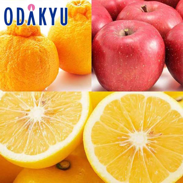 重さ：約1.5kg内容：熊本県産他デコポン（約250g） × 2玉青森県産サンふじ（約270g） × 2玉宮崎県産日向夏（約250g） × 2玉