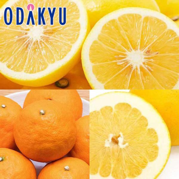 重さ：約6kg内容：宮崎県産日向夏 × ２kg愛媛県産他カラーマンダリン × 2kg熊本県産他河内晩柑 × 2kg