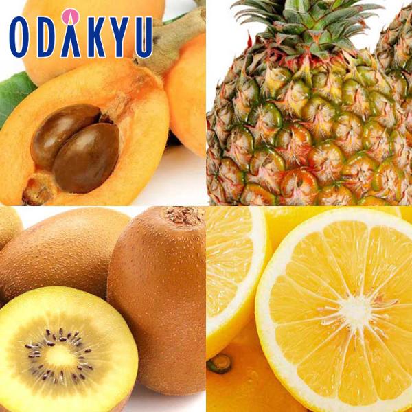 重さ：約3.7kg内容：長崎県産長崎びわ（約250g） × 1パック台湾産パインナップル（約1kg） × 1本ニュージーランド産サンゴールドキウイ（約160g） × 6玉宮崎県産日向夏（約250g） × ６玉