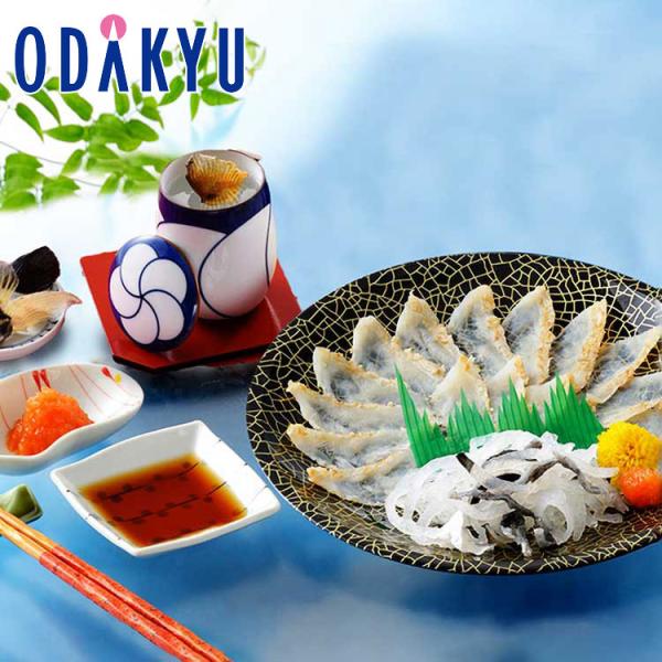 加工地：山口県産地：マフグ（山口県産）、トラフグ（長崎県産、熊本県産：養殖）重さ：約0.4kg箱サイズ：28×21×6.3（cm）賞味期間：製造日より90日間内容：真ふぐたたき刺身（17cm皿）20g、とらふぐ皮20g、ふくポン酢10g、も...
