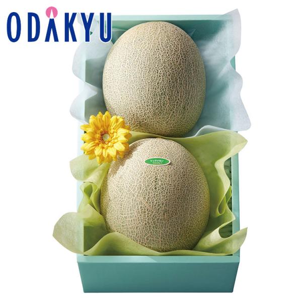 産地：日本消費期限：出荷日より3日内容：メロン（千葉県、茨城県、熊本県または山形県産）、レッドメロン（千葉県、茨城県、熊本県または山形県産）×各1、ガーベラオーナメント付