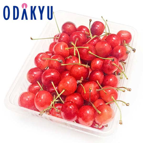 産地：山形県重さ：約1kg内容：山形県産他さくらんぼ500g×１パック
