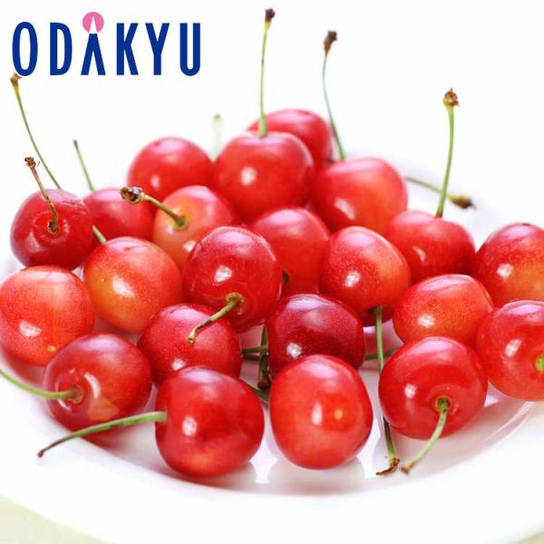 産地：山形県重さ：約0.4kg内容：山形県産他さくらんぼ200g×2パック