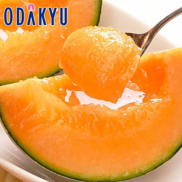 産地：茨城県　他重さ：約1.8kg内容：茨城県産他赤肉メロン×2玉