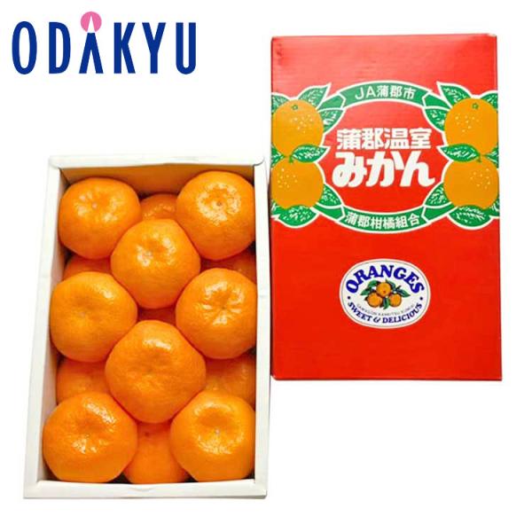 産地：愛知県重さ：約1.2kg内容：愛知県産蒲郡温室みかん×15玉〜18玉