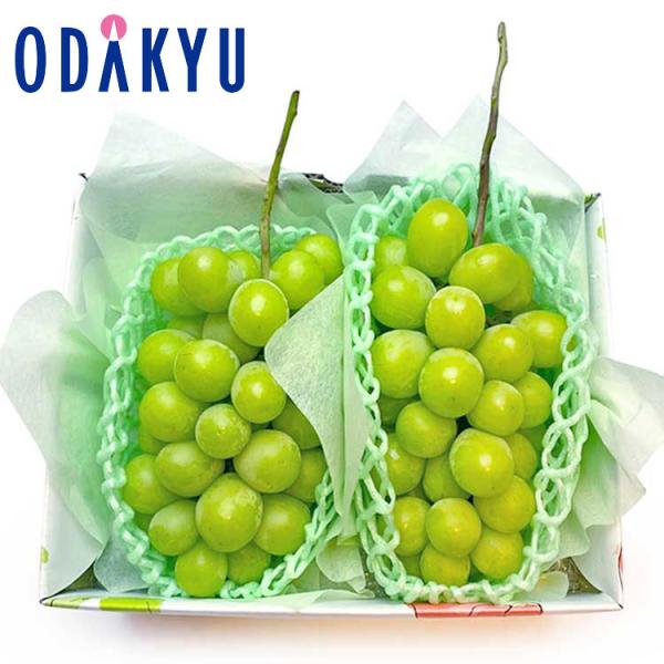 産地：長野県　他重さ：約0.8kg内容：長野県産他シャインマスカット2房詰め
