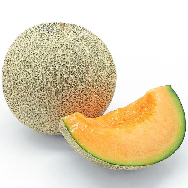 産地：茨城重さ：約1kg内容：茨城県産クインシーメロン(1kg)×1玉