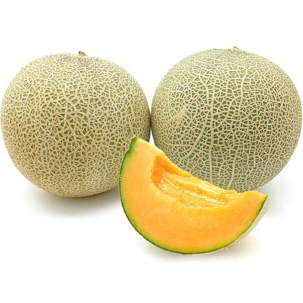 産地：茨城重さ：約2.4kg内容：茨城県産クインシーメロン(1.2kg)×2玉