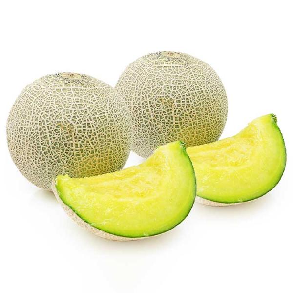 産地：茨城重さ：約2kg内容：茨城県産アンデスメロン（1kg）×2玉