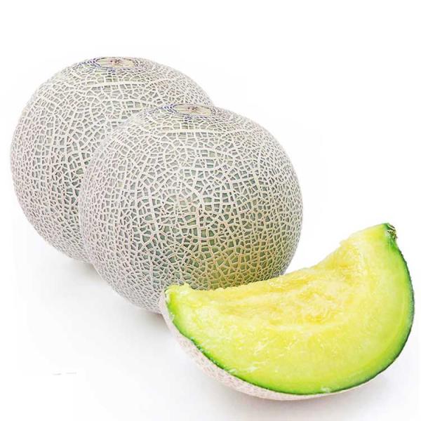 産地：茨城重さ：約2.4kg内容：茨城県産アンデスメロン（1.2kg）×2玉