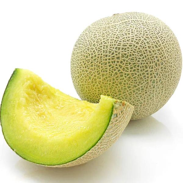 産地：茨城重さ：約1.2kg内容：茨城県産アンデスメロン（1.2kg）×1玉