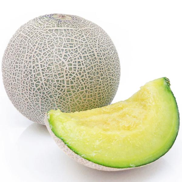 産地：茨城重さ：約1kg内容：茨城県産アンデスメロン(1kg)×1玉