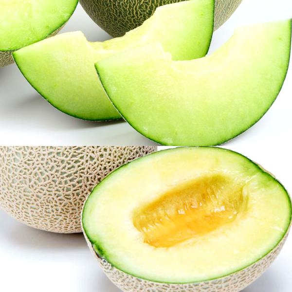 お召し上がり方：常温で追熟し、食べ頃になったらお召し上がりください重さ：約1.8kg等級：秀内容：熊本県産肥後グリーンメロン（２Lサイズ）×1玉　熊本県産他青肉メロン（２Lサイズ）×1玉