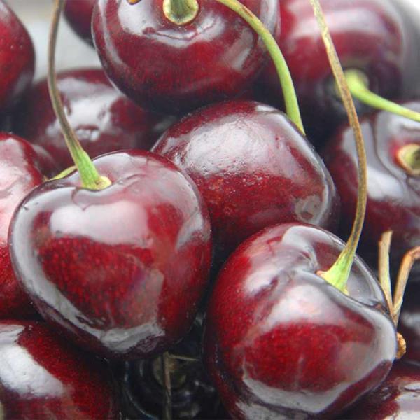 産地：アメリカ重さ：約1kg内容：アメリカ産アメリカンチェリー×１kg