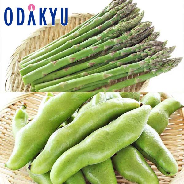 重さ：約2kg内容：北海道産他アスパラ（Lサイズ〜）×1kg鹿児島県産他そら豆（Lサイズ〜）×1kg