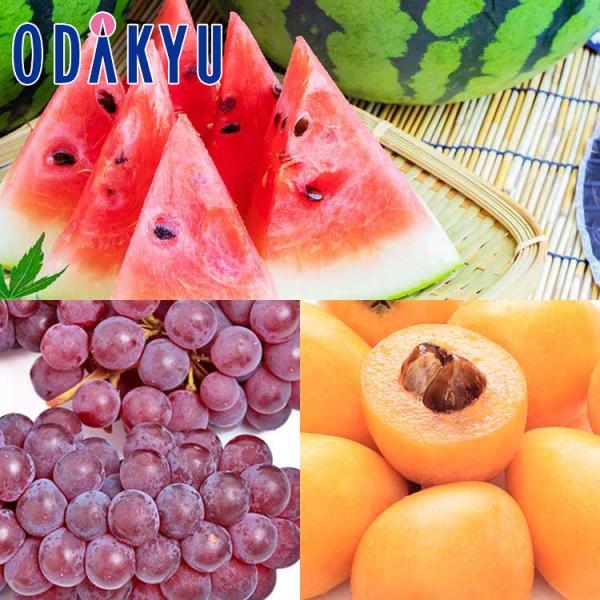 重さ：約1.5kg内容：群馬県産他紅小玉すいか×1玉山梨県産他デラウェア×2房千葉県産房州びわ×1パック