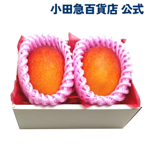 産地：宮崎県重さ：約0.7kg内容：沖縄県産マンゴー（350g）×2玉（カタログ番号：2788）