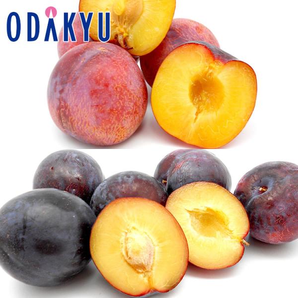 重さ：約1kg内容：山梨県産貴陽プラム（250g以上）×2パック山梨県産太陽プラム（250g以上）×２パック