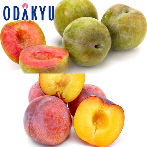 重さ：約1kg内容：山梨県産ソルダム（250g以上）×2パック山梨県産貴陽プラム（250g以上）×２パック