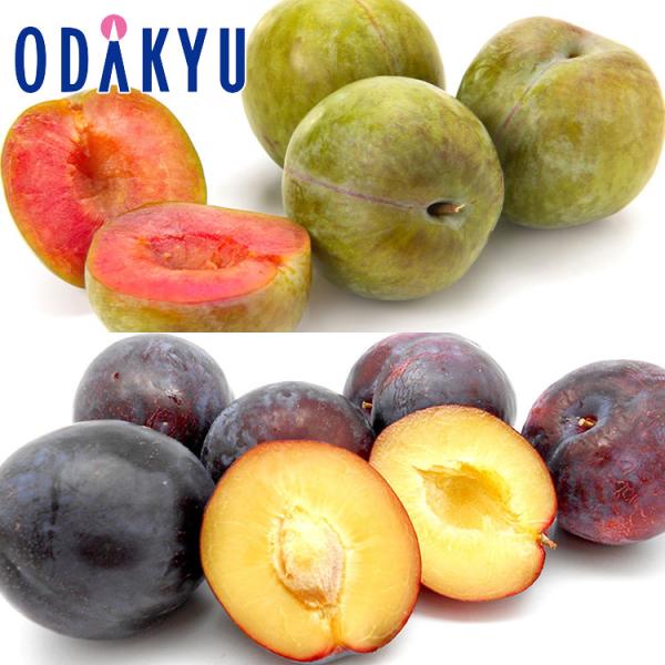 重さ：約1kg内容：山梨県産ソルダム（250g以上）×2パック山梨県産太陽プラム（250g以上）×２パック