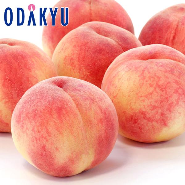 重さ：約2.5kg内容：山梨県産日川白鳳（６玉〜７玉/2.５kg）×1箱