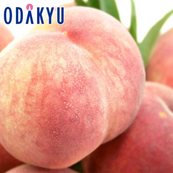 重さ：約2.5kg内容：山梨県産浅間白桃（６玉〜７玉/2.５kg）×1箱