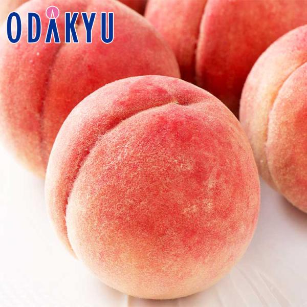 重さ：約2.5kg内容：山梨県産川中島白桃（８玉〜９玉/2.5kg）×1箱