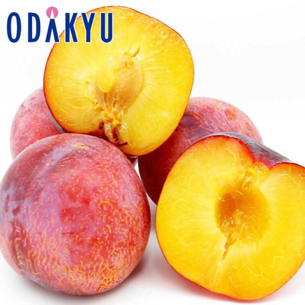 重さ：約0.5kg内容：山梨県産「貴陽プラム」（250g以上）×2パック