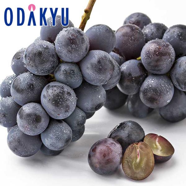 重さ：約0.9kg内容：山梨県笛吹地区「匠の葡萄・種なしピオーネ」2房入り