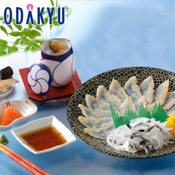 加工地：山口県産地：マフグ（山口県産）、トラフグ（長崎県産、熊本県産：養殖）重さ：約0.365kg箱サイズ：28×21×6.3(cm)賞味期間：製造日より90日間内容：真ふぐたたき刺身（17cm皿）20g、とらふぐ皮20g、ふくポン酢10g...